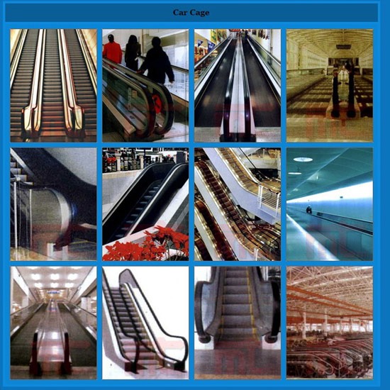Car Cage | ไทยแลนด์ เยลโล่เพจเจส