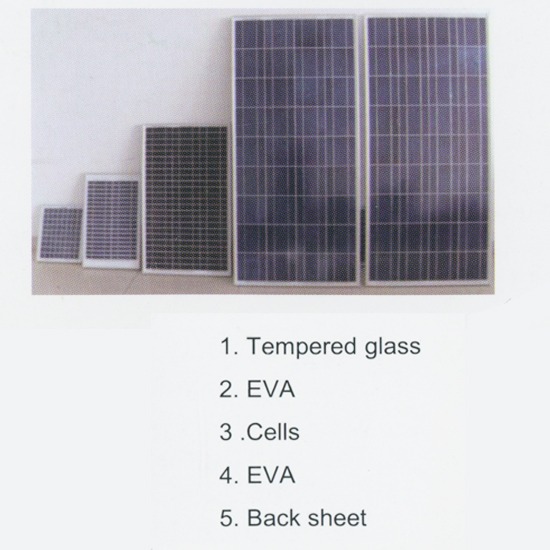 Poly-Crystalline Solar PV Module | ไทยแลนด์ เยลโล่เพจเจส